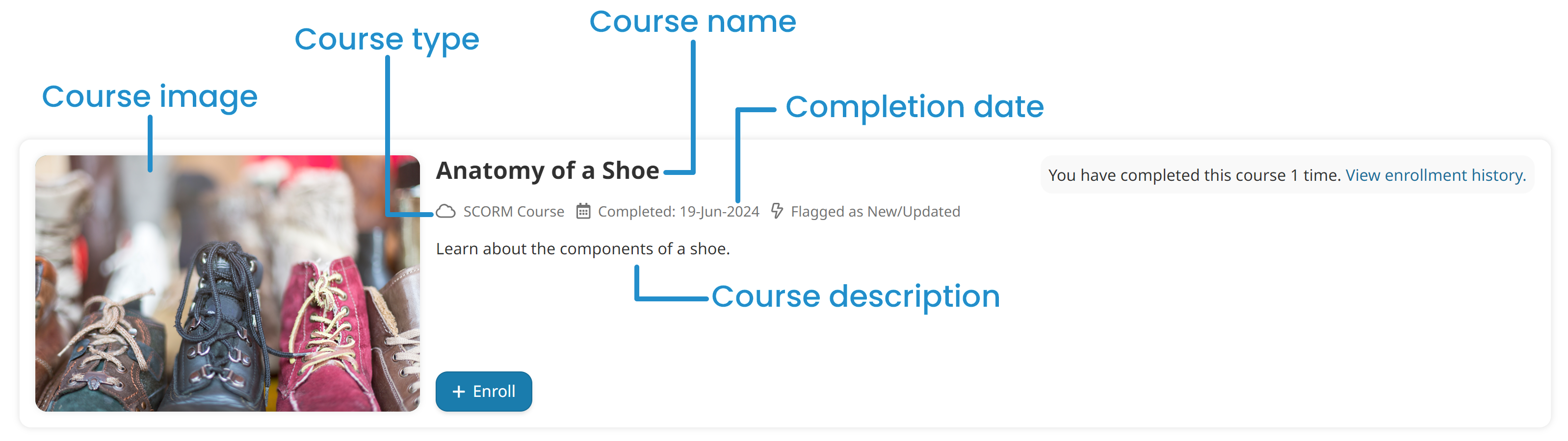 Learner Interface: Course Details, Course Information
